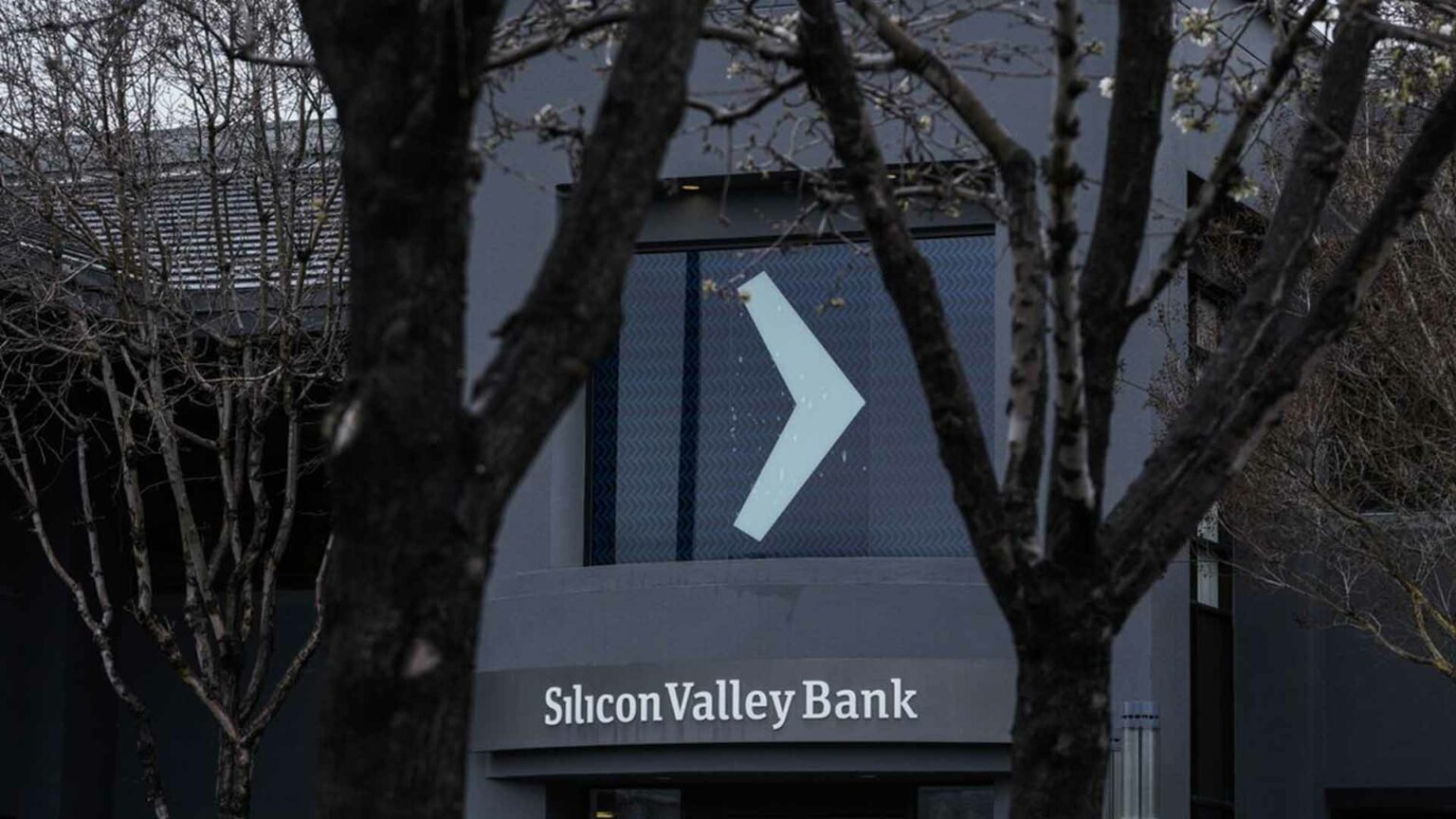 The collapse of Silicon Valley Bank (SVB): The second-largest bank ...