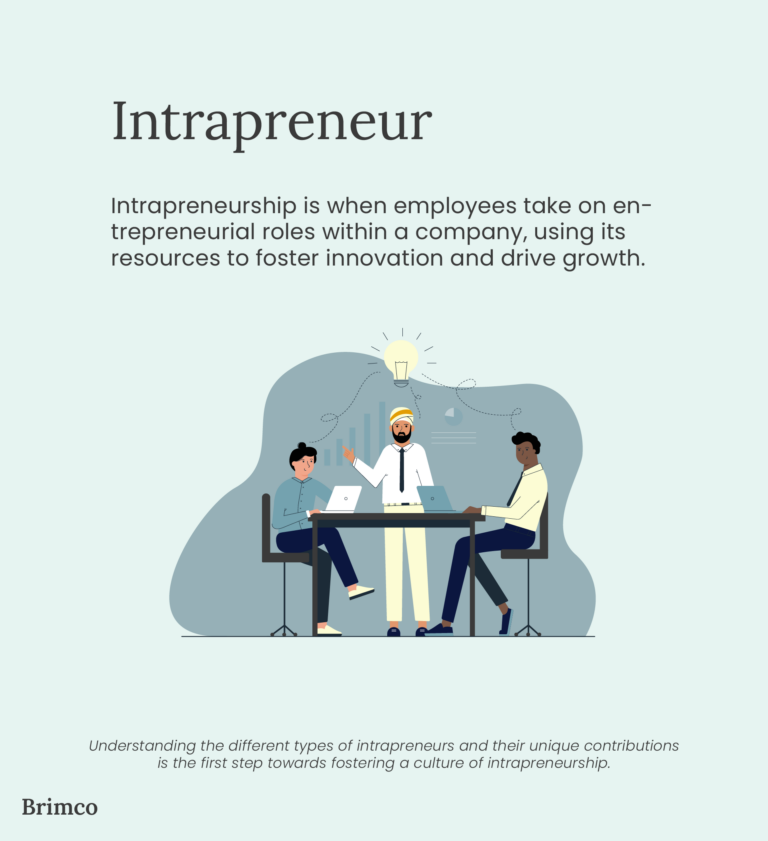 Top Intrapreneur Types: Maximizing Innovation and Growth | Brimco